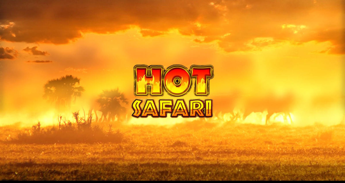 Hot Safari slot by Pragmatic Play | Hollywood.co.za