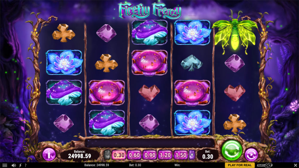Firefly Frenzy slot | Hollywood.co.za